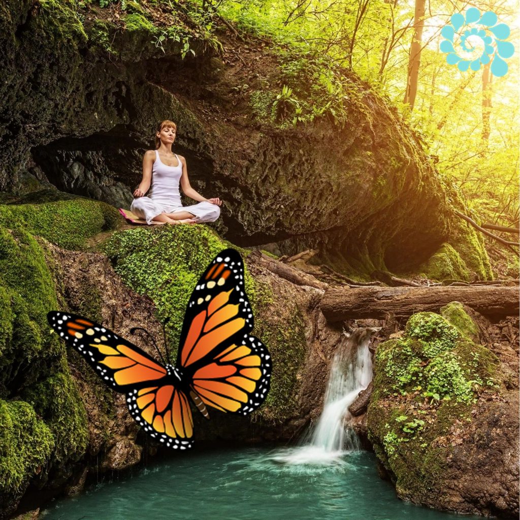 Introduction to Quantum Health Transformation V.3.0 - Karen Holton